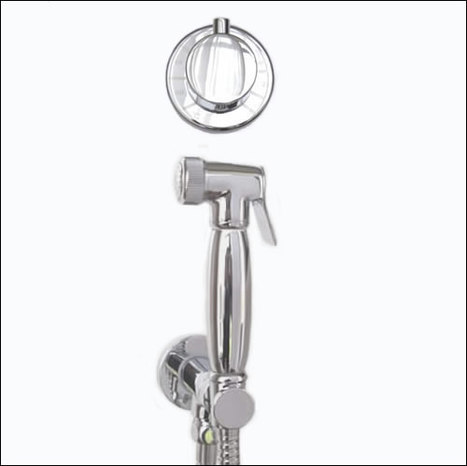 KIT6400: Thermostatically controlled bidet shower kit with automatic ...