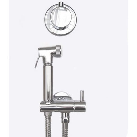 KIT6200: Thermostatically Controlled Bidet Shower Kit