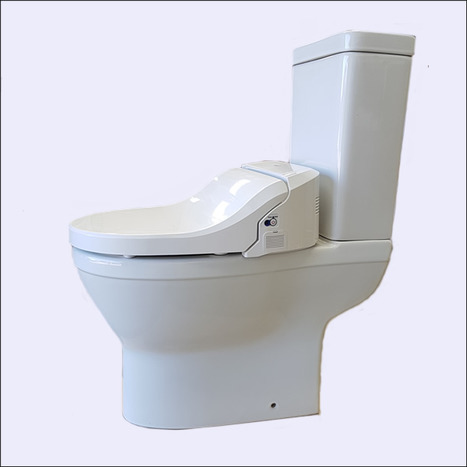 CCP-7035-CA Back to wall bidet toilet open back