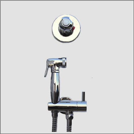 KIT6000: Thermostatically Controlled Bidet Shower Kit