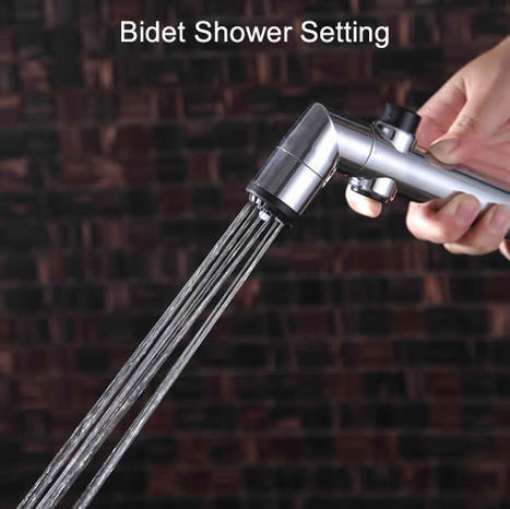 ERG2000: Combination Bidet Shower & Toilet Jet Cleaner